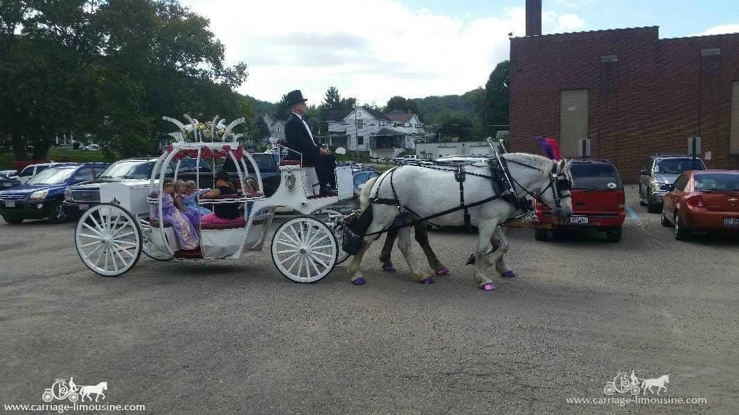 Cinderella Carriage Photos | Carriage Limousine Service Gallery | Horse ...