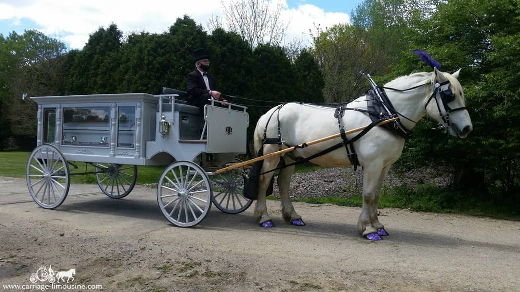 Funeral Coach Photos | Horse Drawn Funerals | Funeral Carriage Pictures