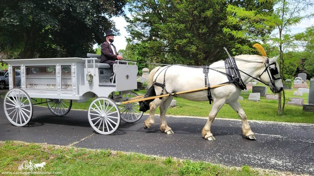 Funeral Coach Photos | Horse Drawn Funerals | Funeral Carriage Pictures