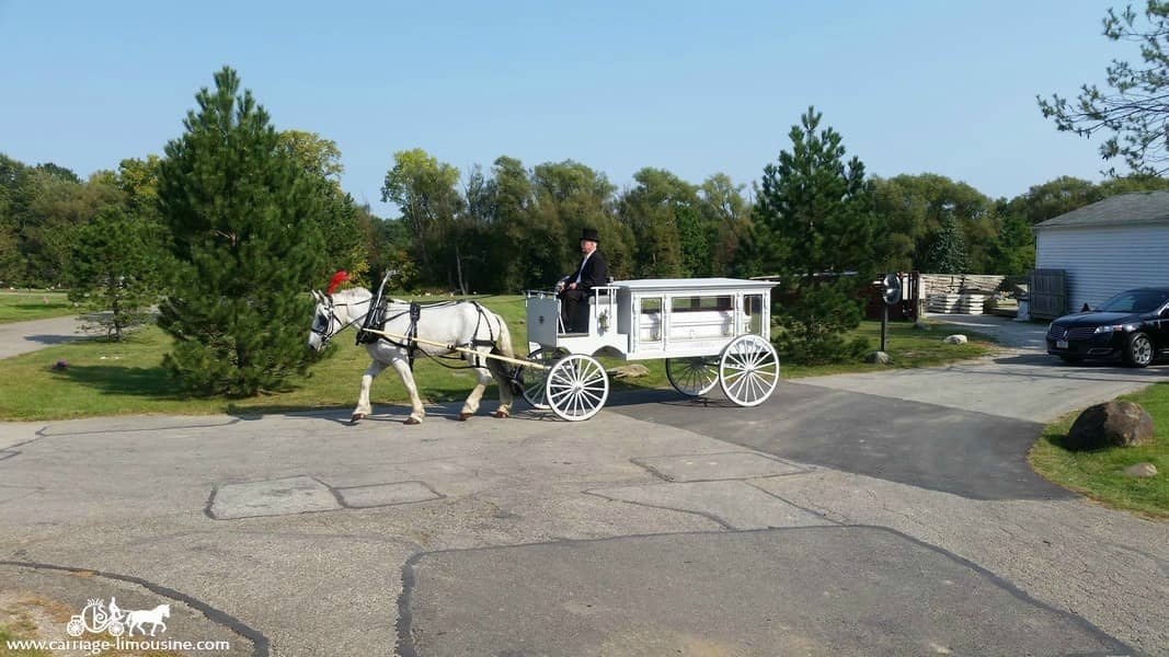 Funeral Coach Photos | Horse Drawn Funerals | Funeral Carriage Pictures