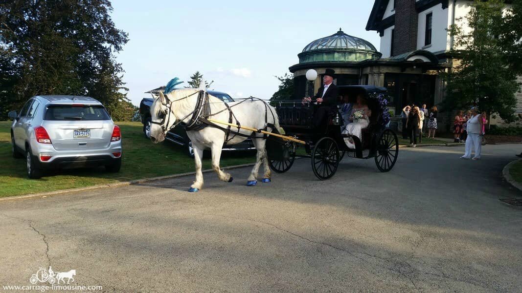 Princess Carriage Photos | Carriage Limousine Service Gallery | Horse ...